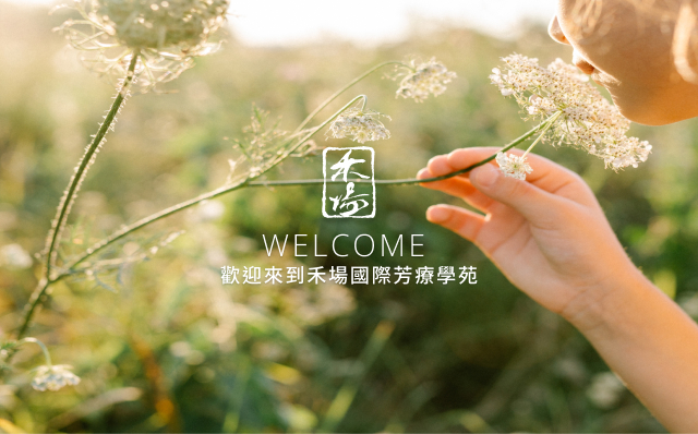 「發現芳療的療癒力量，那一刻仿若久別重逢——精油與症狀舒緩的奇蹟 ⭐ 張君寧 · 23期」 / 禾場國際芳療學苑 | NAHA.IFPA國際芳 ...